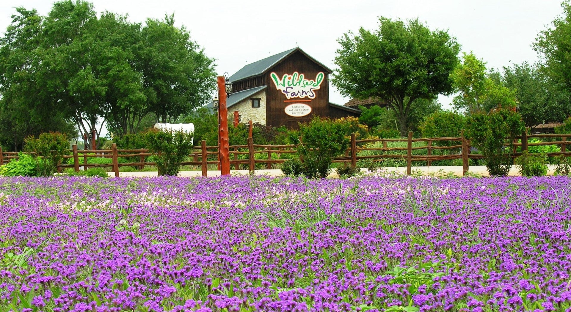 Wildseed Farms Fredericksburg TX | Texas Wildflower Farm ...